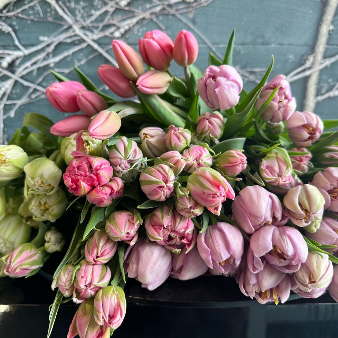 How I Grow Tulips For The Wild Rose | Auckland Florist