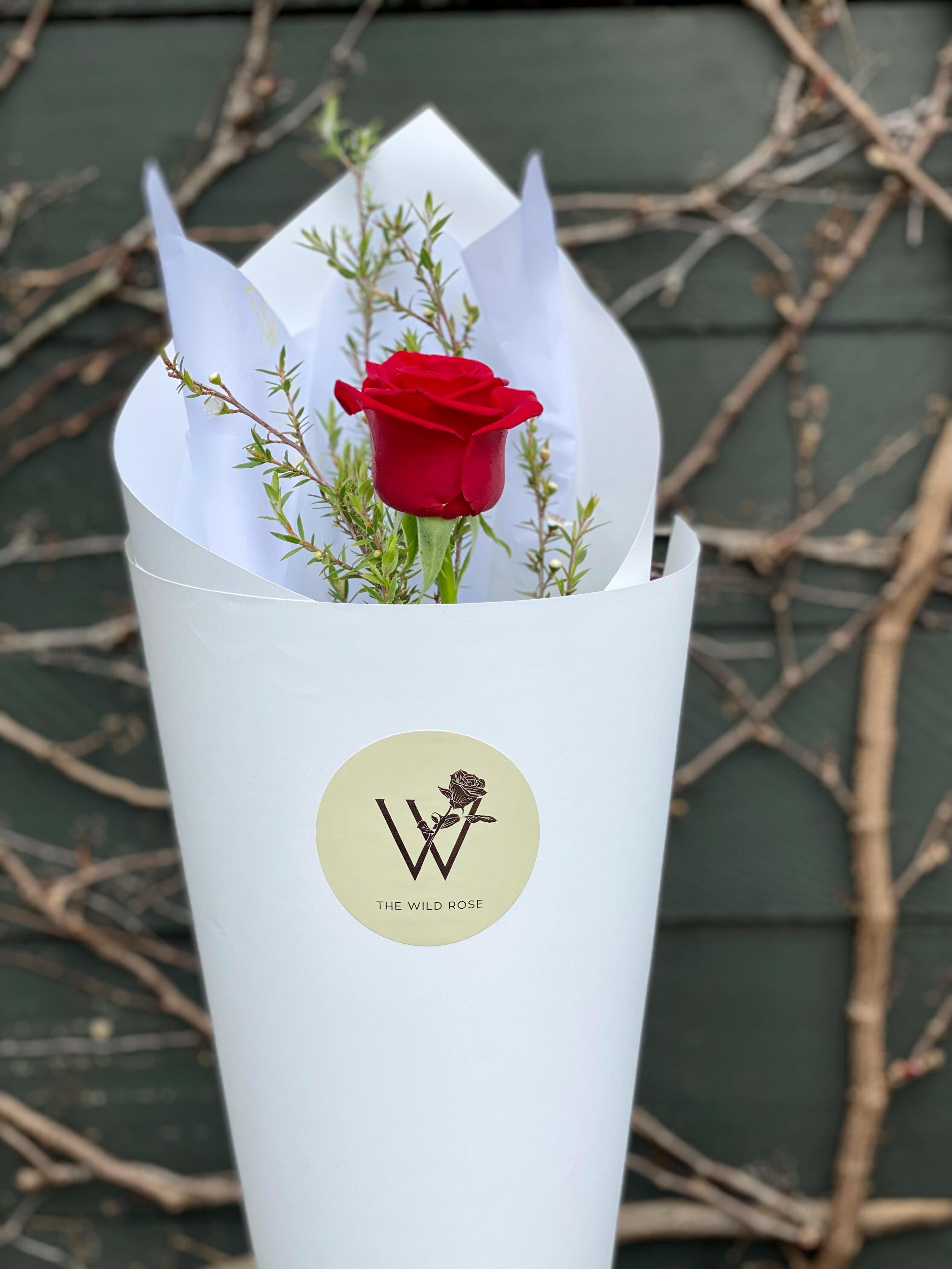 Flower Delivery Auckland I Single Red Rose